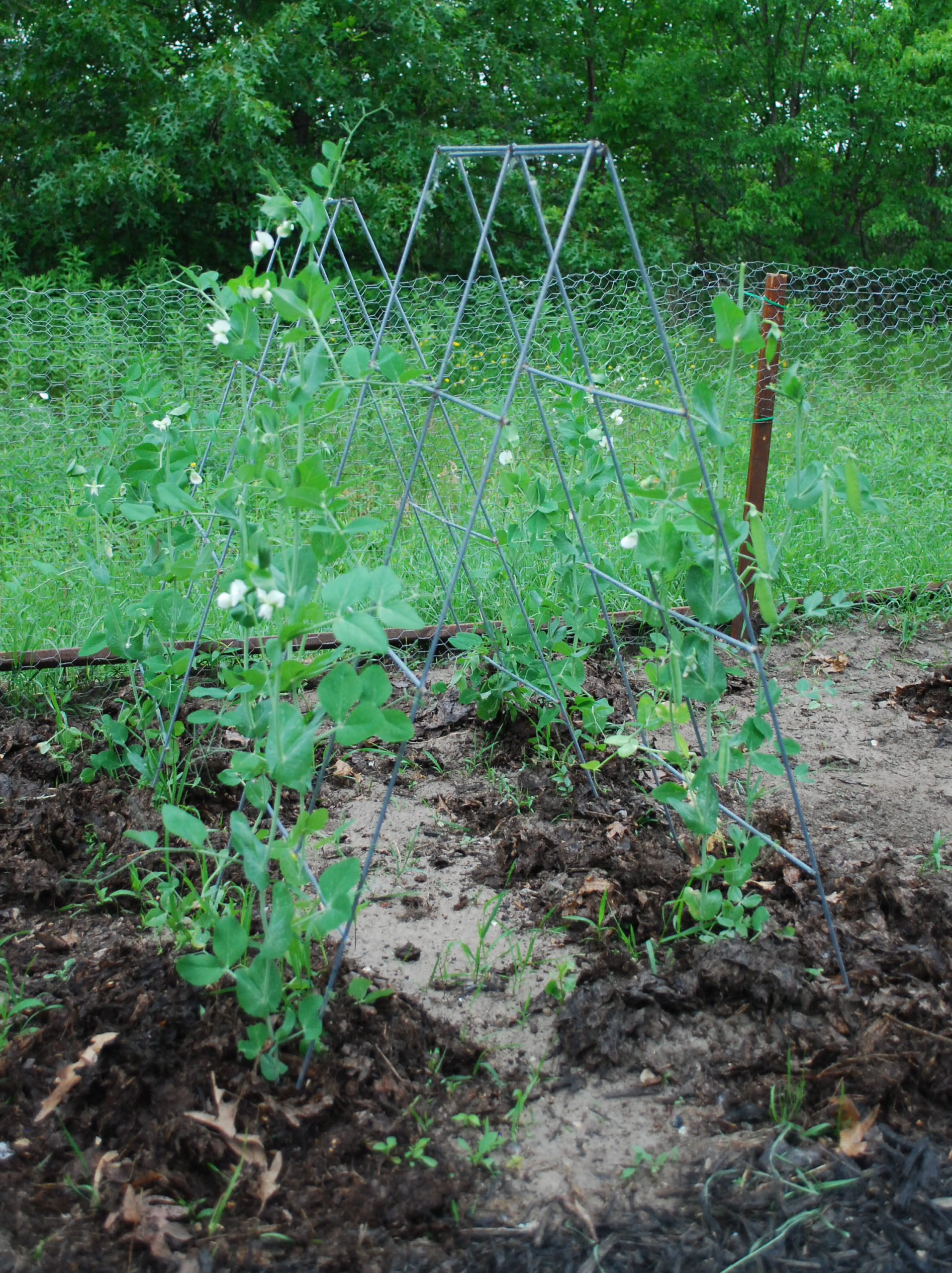 Plant Supports – Glamos Wire, Inc.